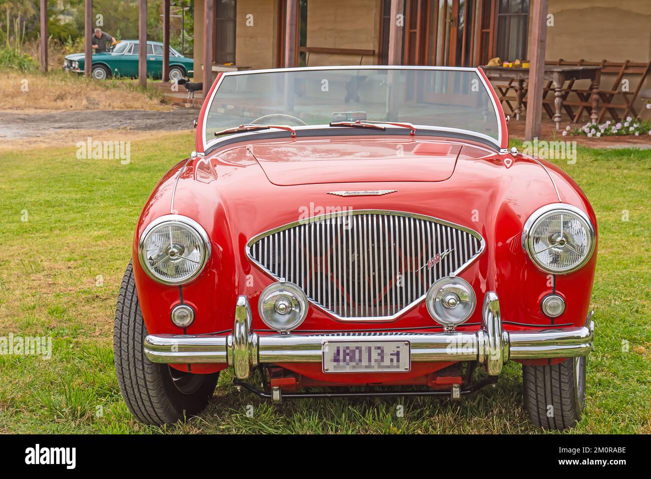 Front view 1952 Austin Healey 100 sports car Stock Photo - Alamy