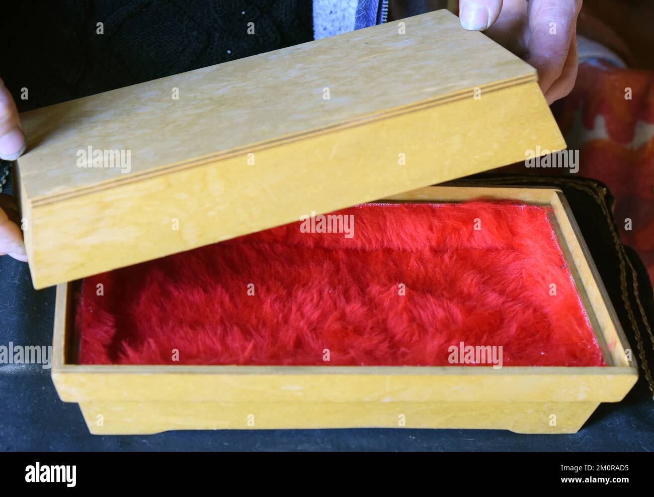Leipzig, Germany. 27th Nov, 2022. Animal cemetery manager and mortician ...