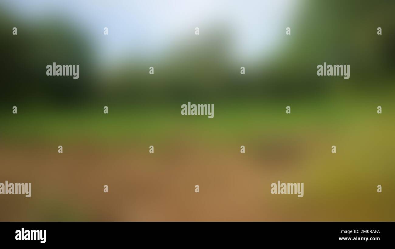 blurred corn farming in a village Stock Photo - Alamy