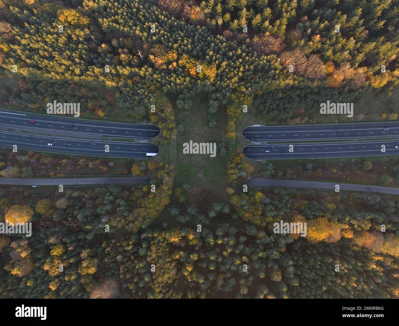 Ecoduct, ecopassage, nature bridge or game changeover. Infrastructure ...