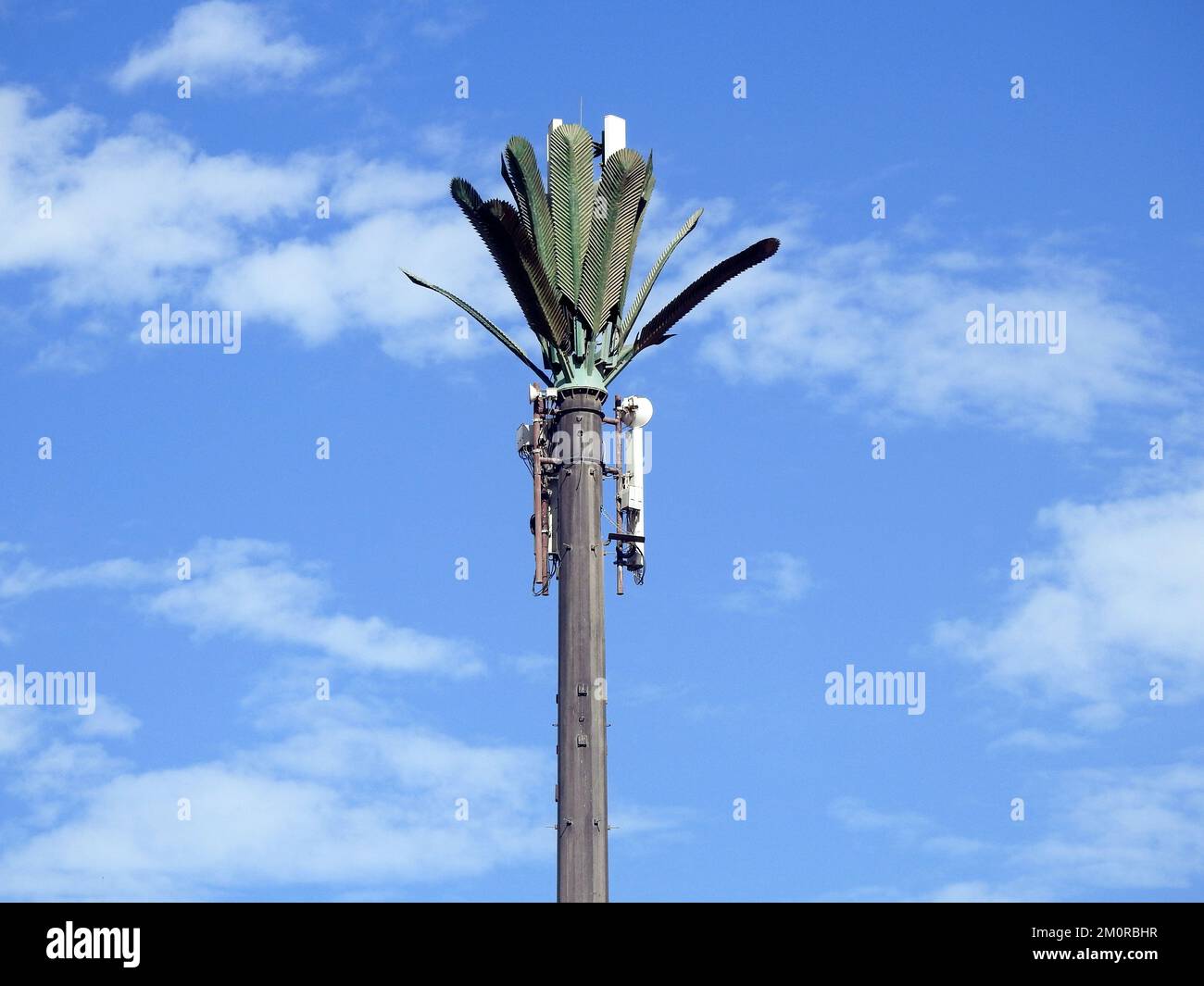 cell phone tower in Egypt or cellular phone antenna disguised on fake ...