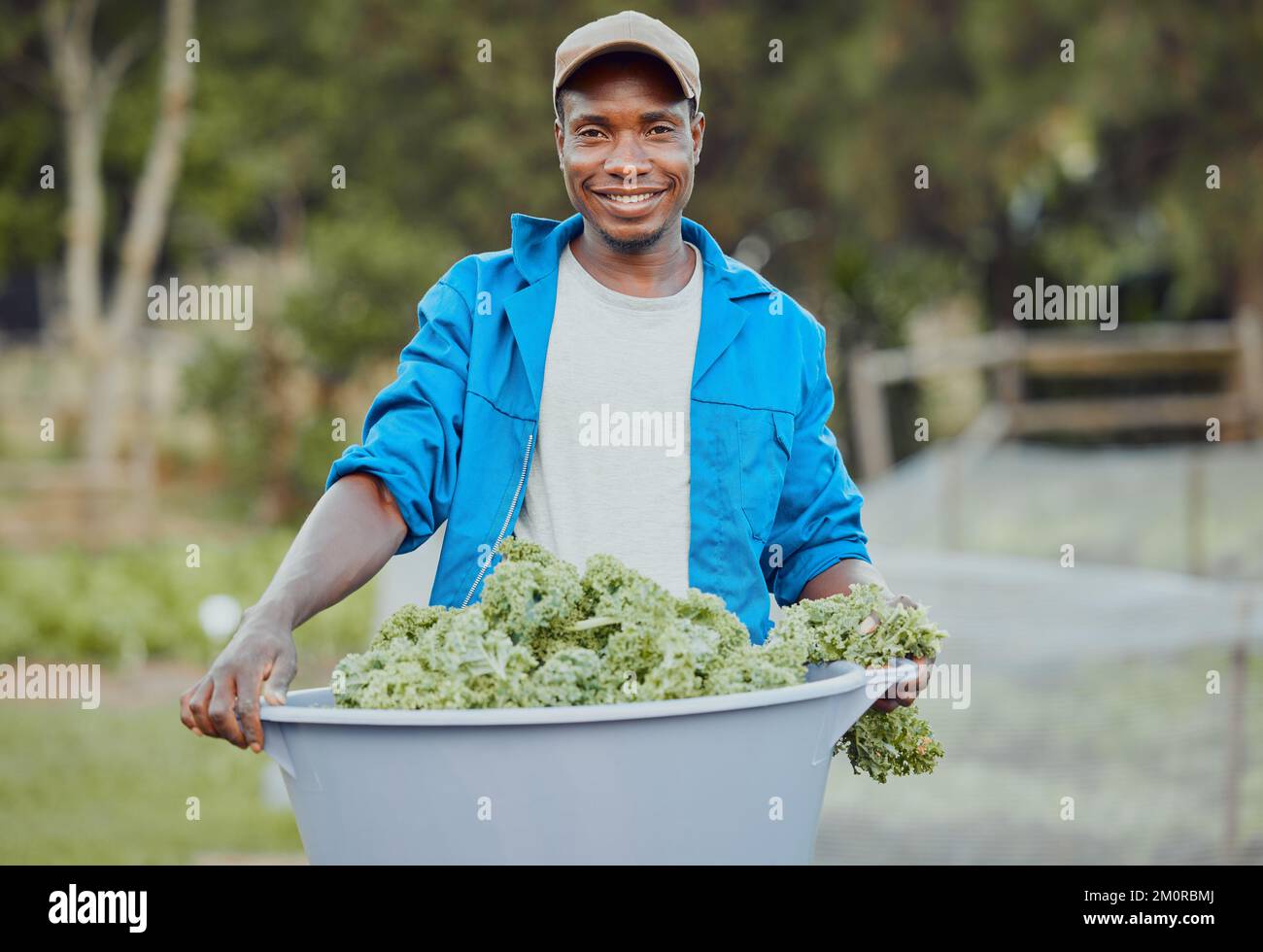 A bucket full ready to send to the stores. a handsome young farmer ...