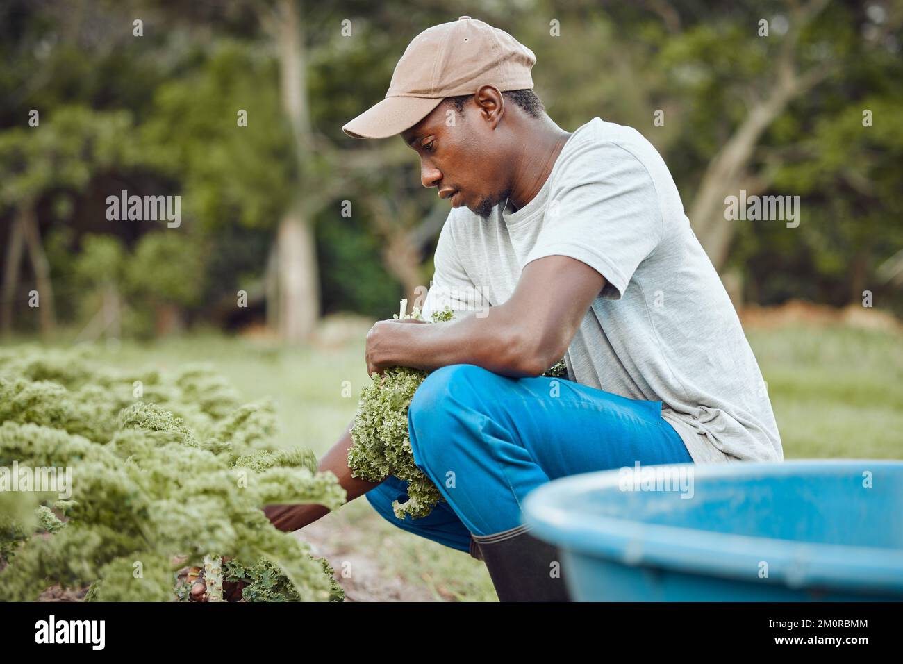 Farming is a way of life. a handsome young farmer crouching down alone ...