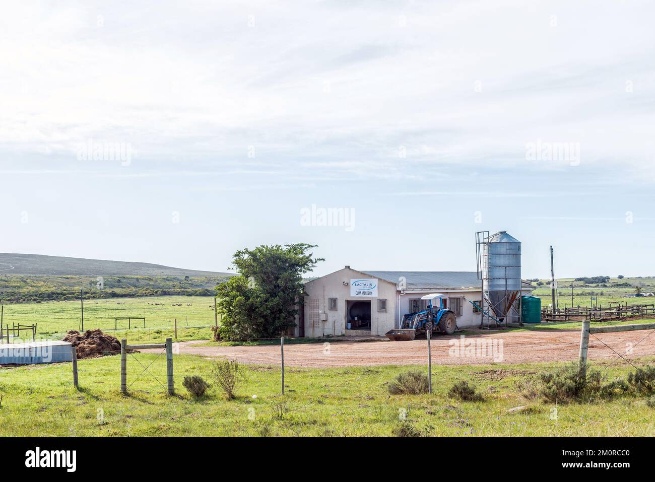 Elim, South Africa - Sep 21, 2022: A dairy farm building near Elim in ...