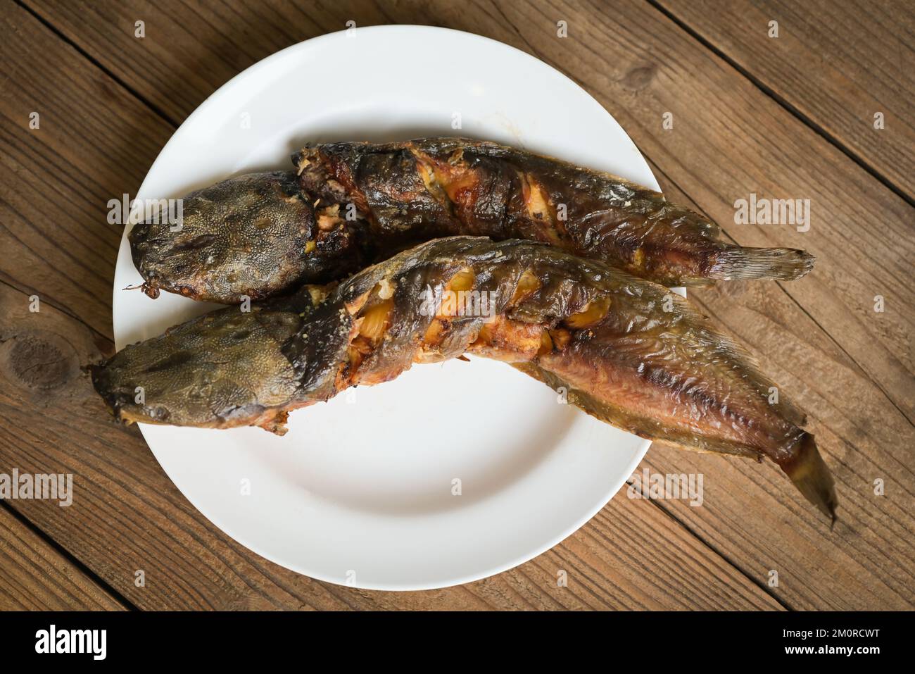 grilled catfish on white plate, Thailand food cooking catfish ...
