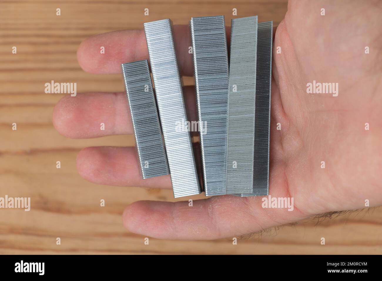 Metal staples for staple machine on in the hand of a man Stock Photo ...