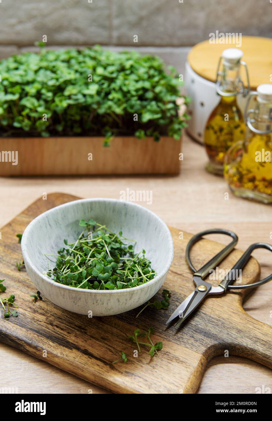 Assortment of micro greens on table. Healthy food Stock Photo - Alamy