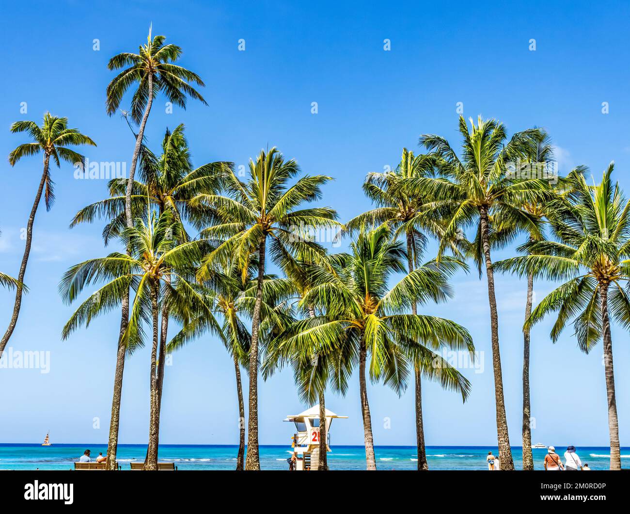 Colorful Lifeguard Station Palm Trees Tourists Waikiki Beach Honolulu ...