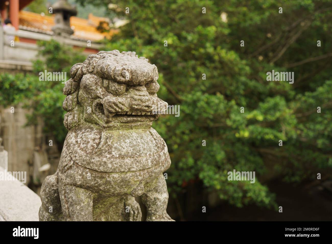 chinese guardian lion near oriental temple Stock Photo - Alamy