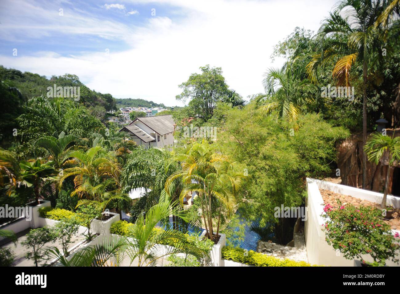 Thailand houses and trees on Phuket island Stock Photo - Alamy