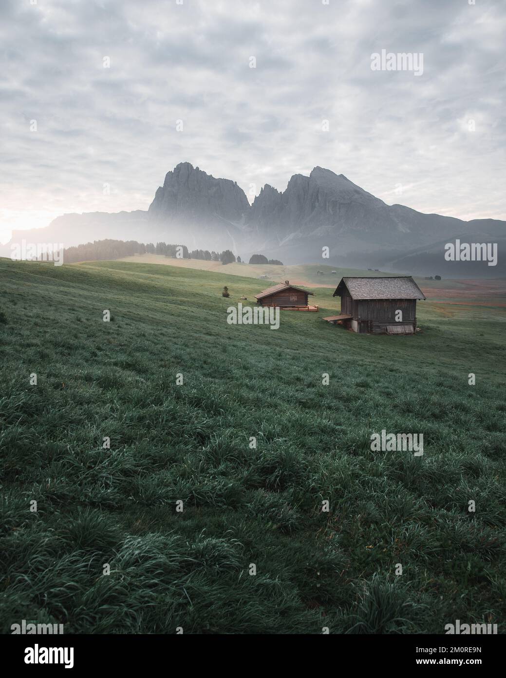A scenic view of greenfields and the rocky Dolomite mountains in the ...