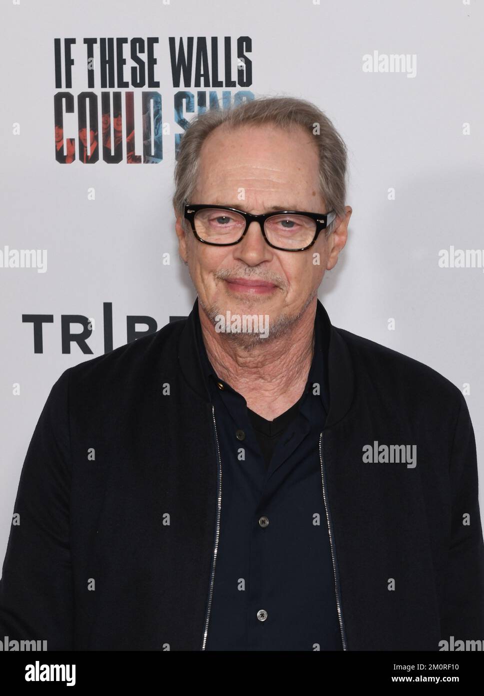 New York, USA. 07th Dec, 2022. Steve Buschemi attends the "If These ...