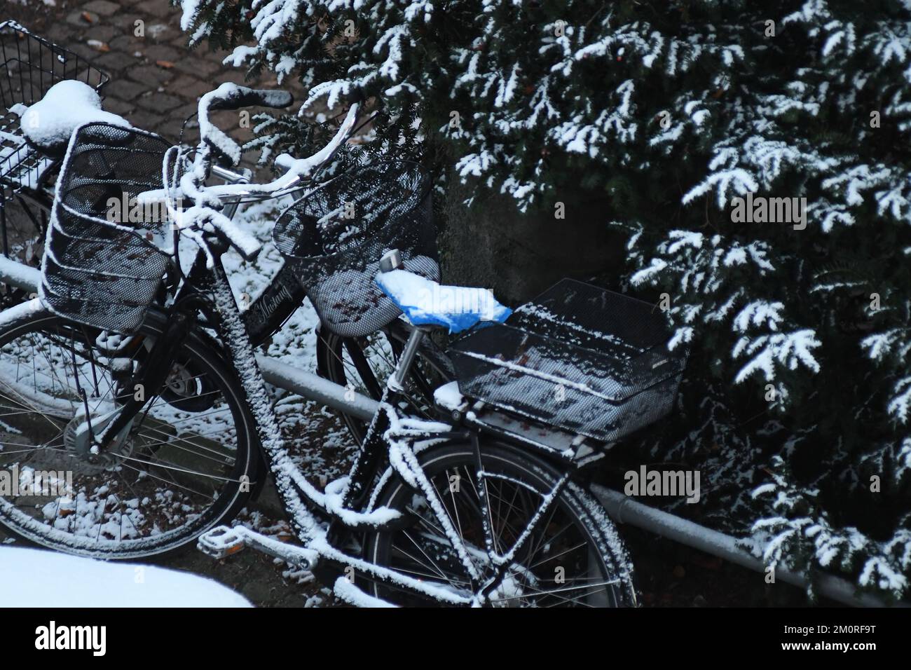 Copenhagen snow bike hi-res stock photography and images - Alamy