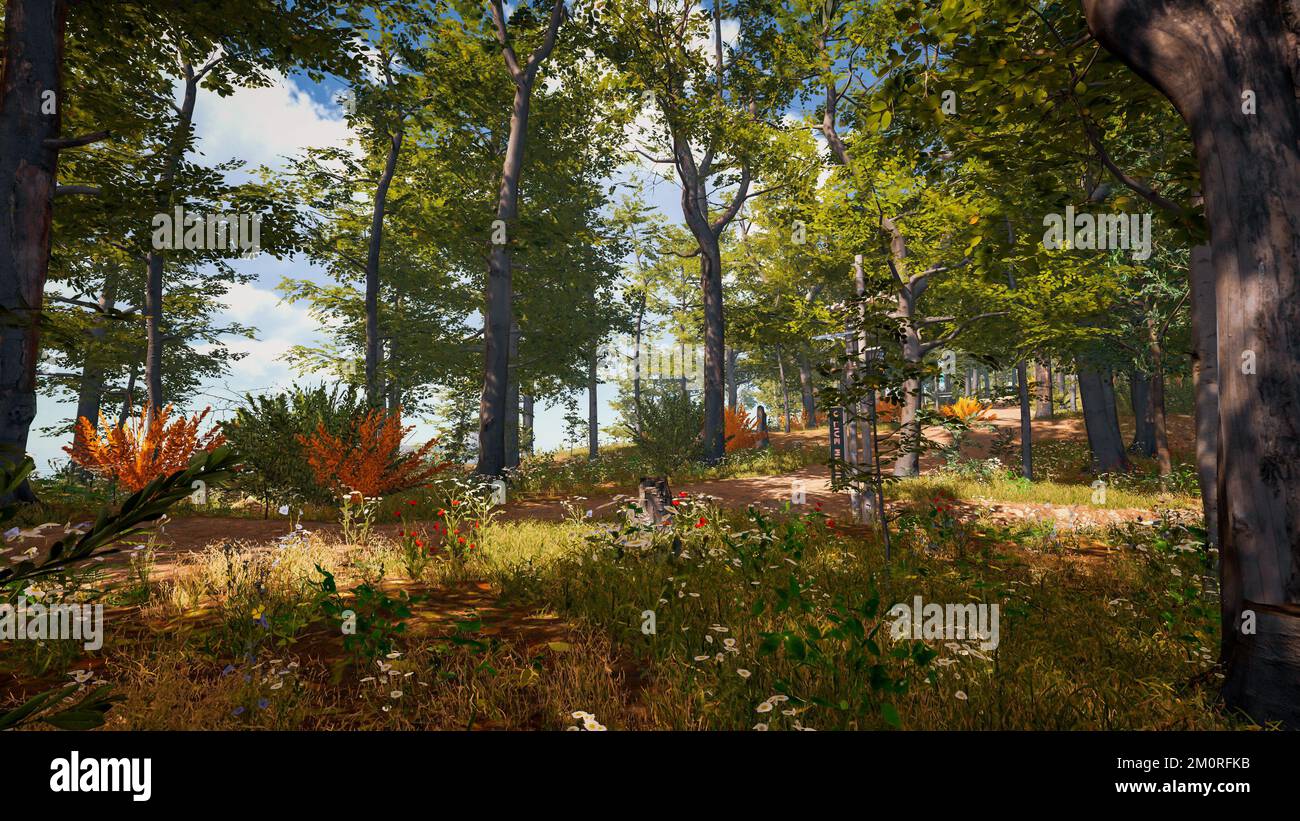 3D rendering. An immersive natural environment. Landscape to illustrate ...