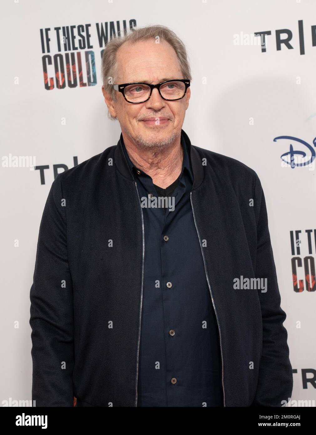 Steve Buschemi attends "If These Walls Could Sing" New York premiere at ...