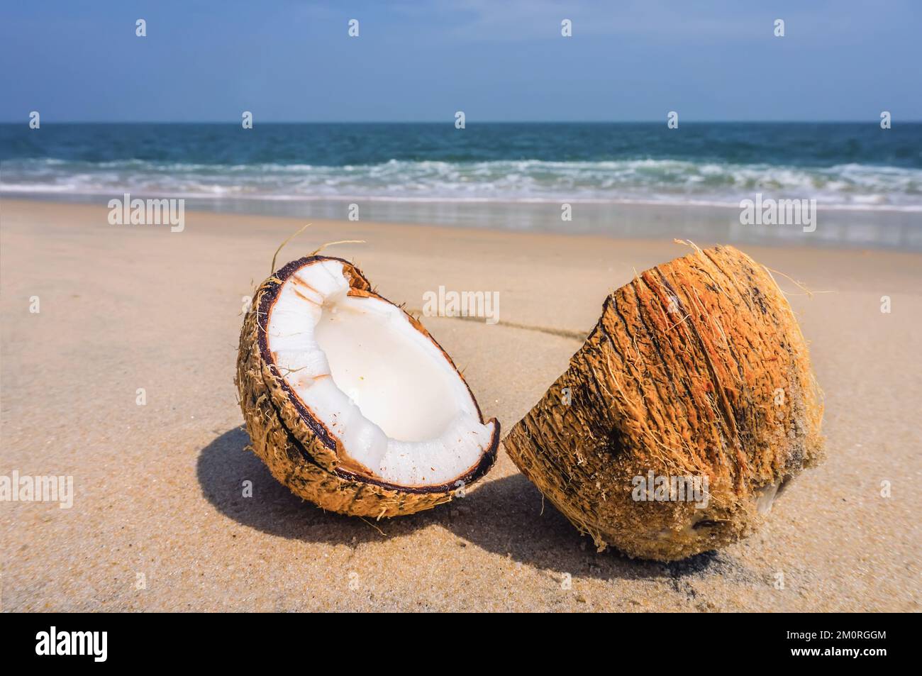 fruits of coconuts on desk space. Coconuts on the background of the sea ...