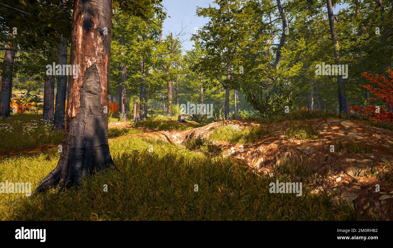 3D rendering. An immersive natural environment. Landscape to illustrate ...