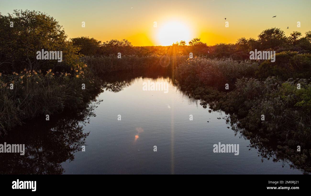A landscape sunset scene over forest trees around blue pond water Stock ...