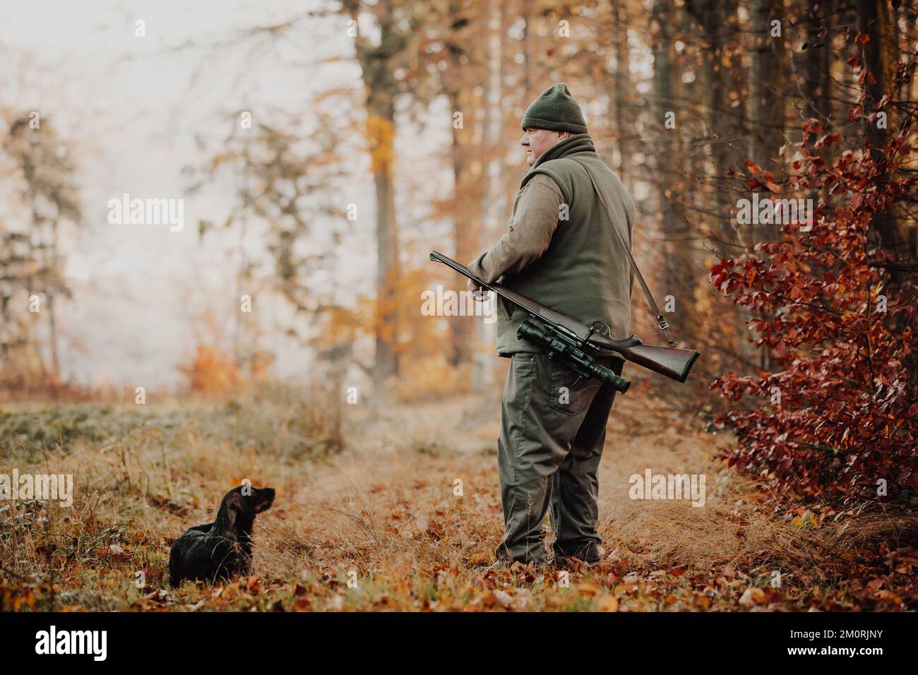 Autumn hunting season, hunter with rifle and dog looking out for some ...