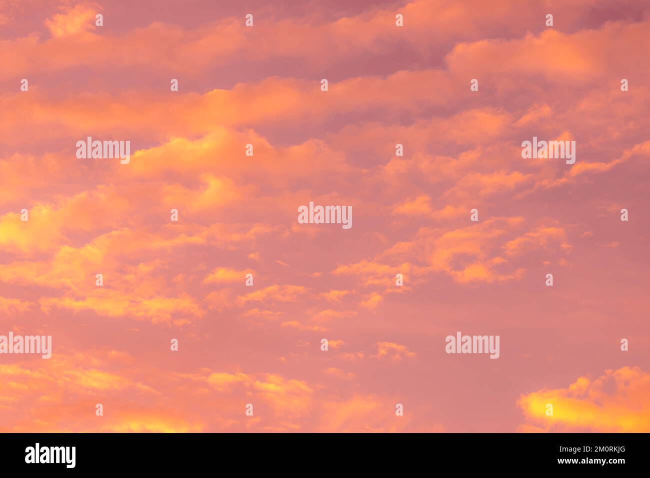 Abstract and pattern of cloud sky Calming coral, Orange, Trend color of ...