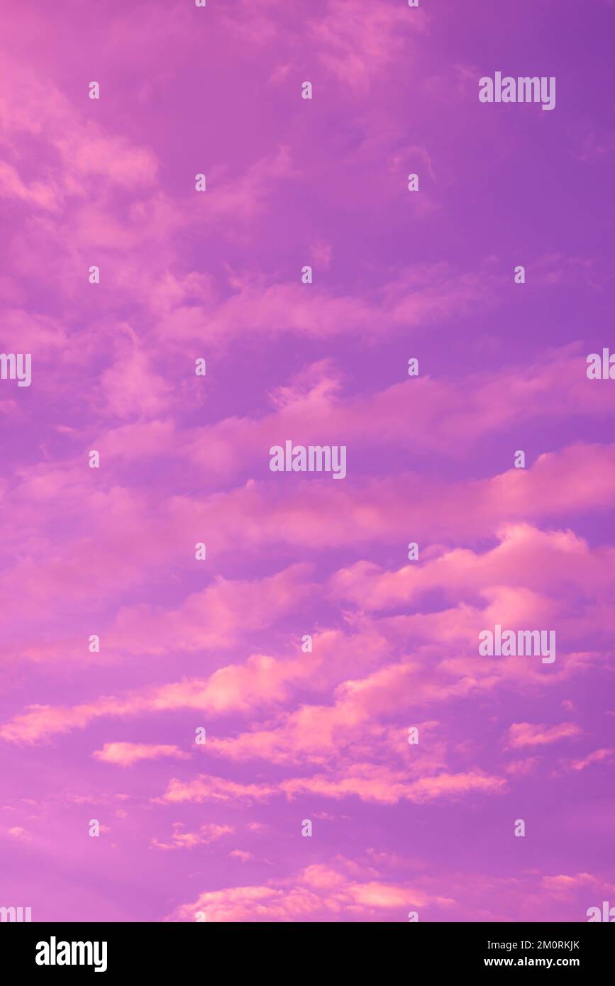 Abstract and pattern of cloud sky, Velvet violet, Velvet Purple, Trend ...