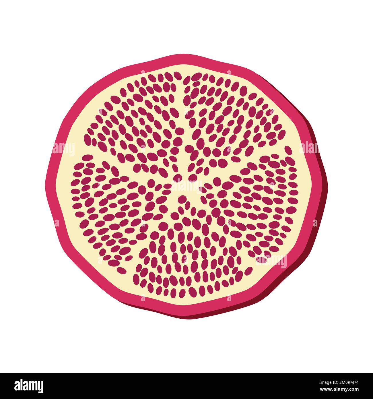 Pomegranate whole and pieces, cut with seeds. Stylized juicy fruit ...