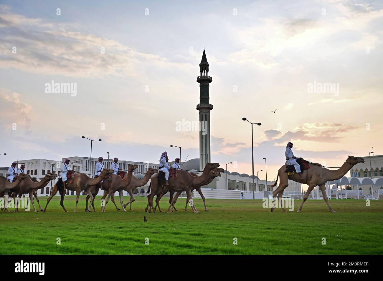Impressions from Doha/Qatar on December 7th, 2022. Mounted camel guard ...