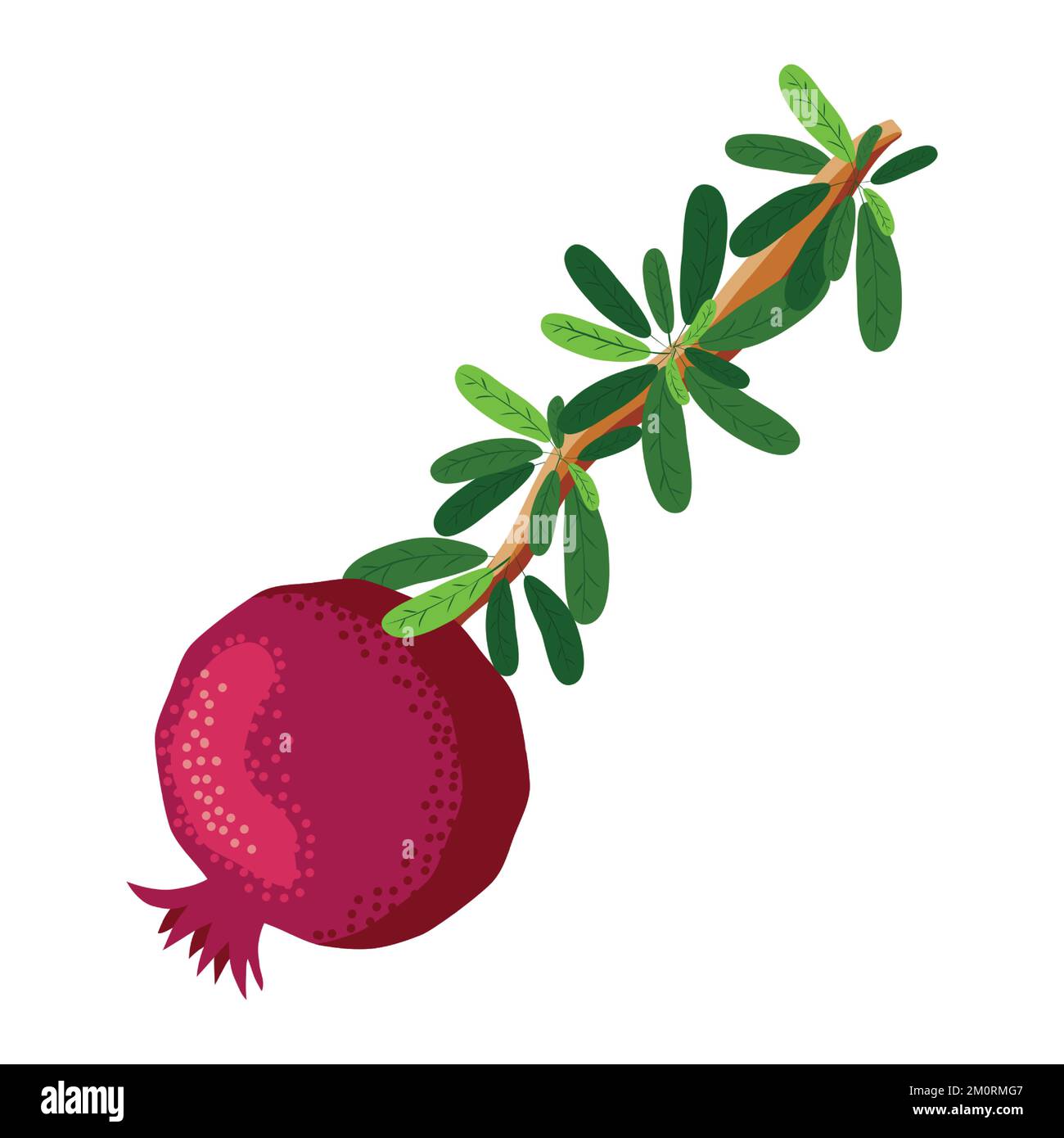 Pomegranate branches with fruits and flowers. Symbol of good luck ...