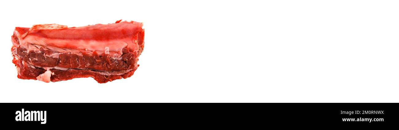 Clean very fresh red raw cow meat beef, banner mock up poster desing ...