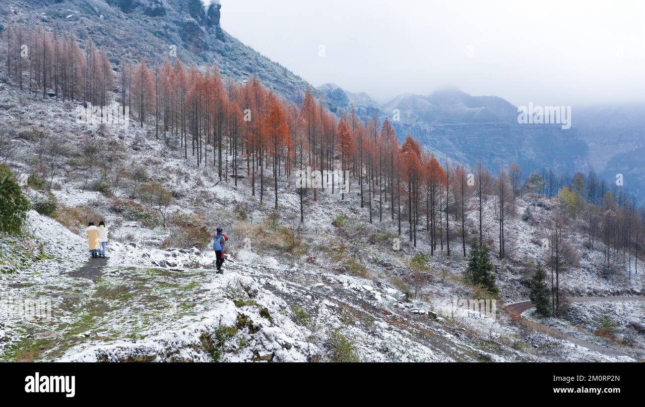 Aerial photo shows the snow scenery of Mount Jinfo in Nanchuan District ...