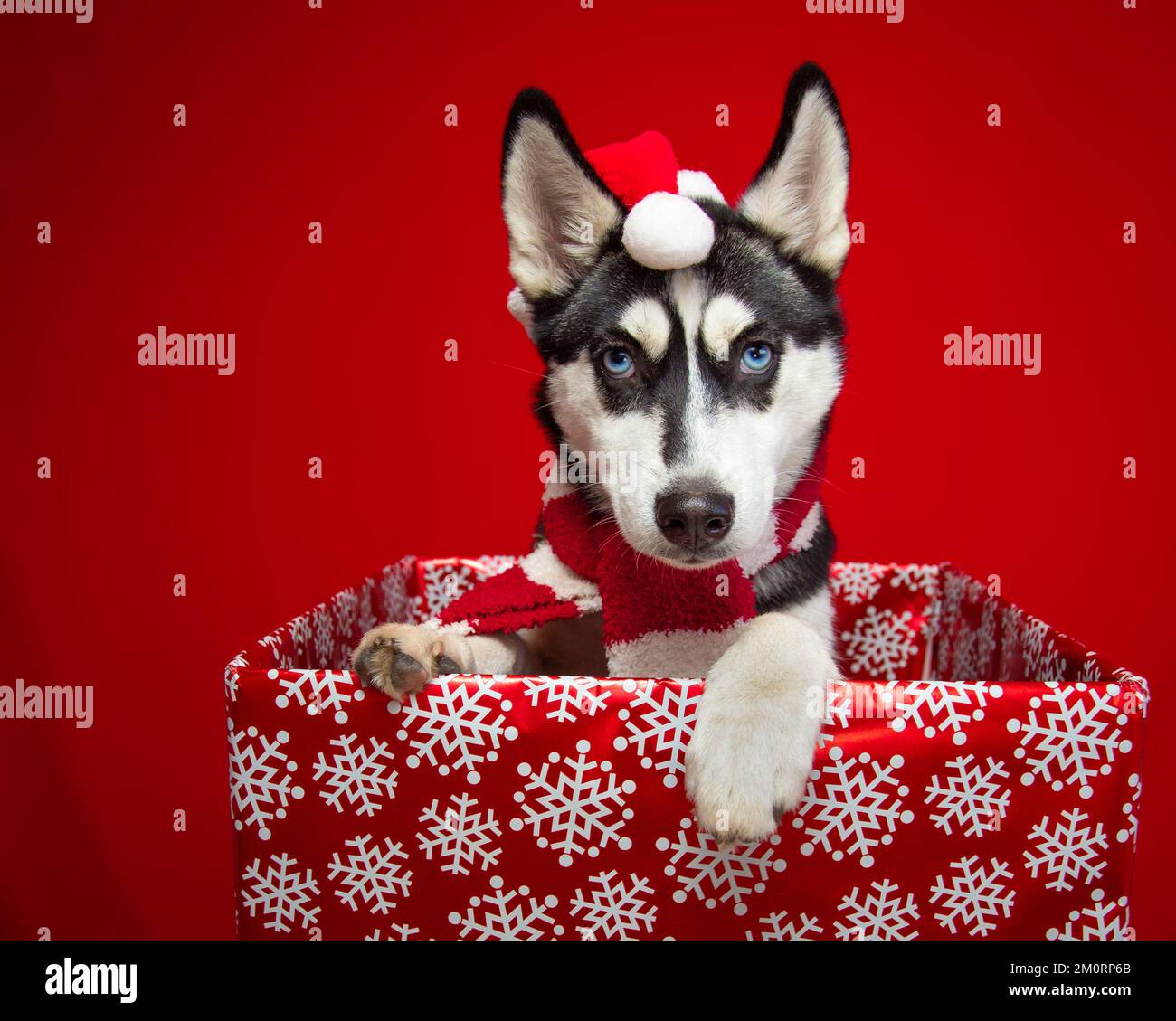 Siberian tradition hi-res stock photography and images - Alamy