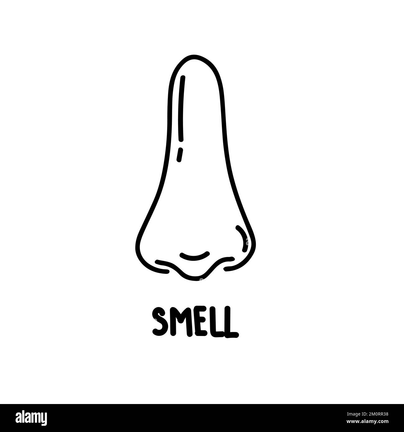 Organ of human smell, nose. Biology, anatomy of man and human organs ...