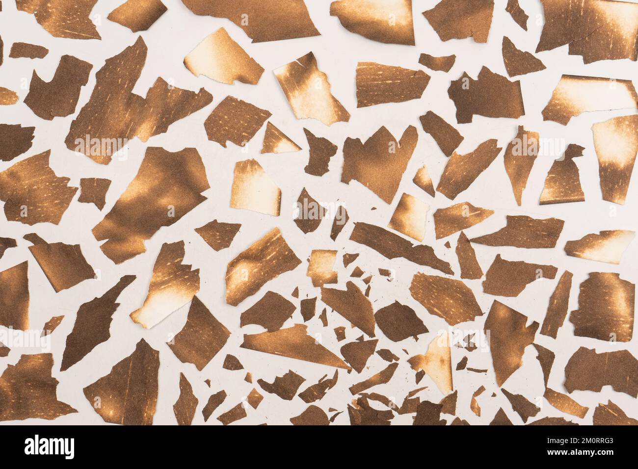 Burnt paper isolated on a white background. Copy space Stock Photo - Alamy