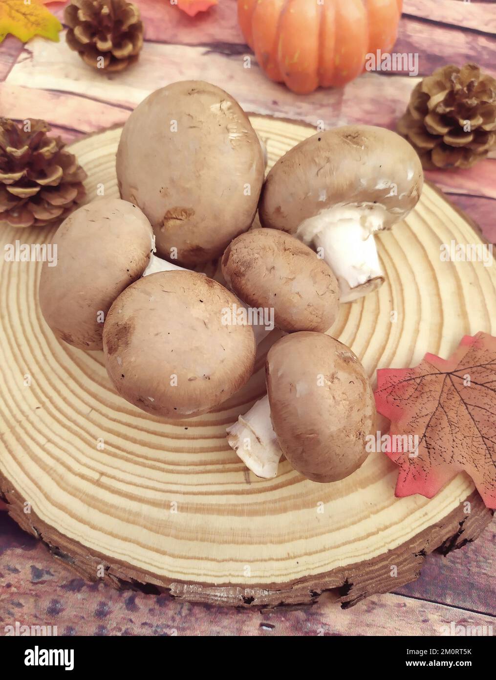 Table decorations mushrooms hi-res stock photography and images - Alamy