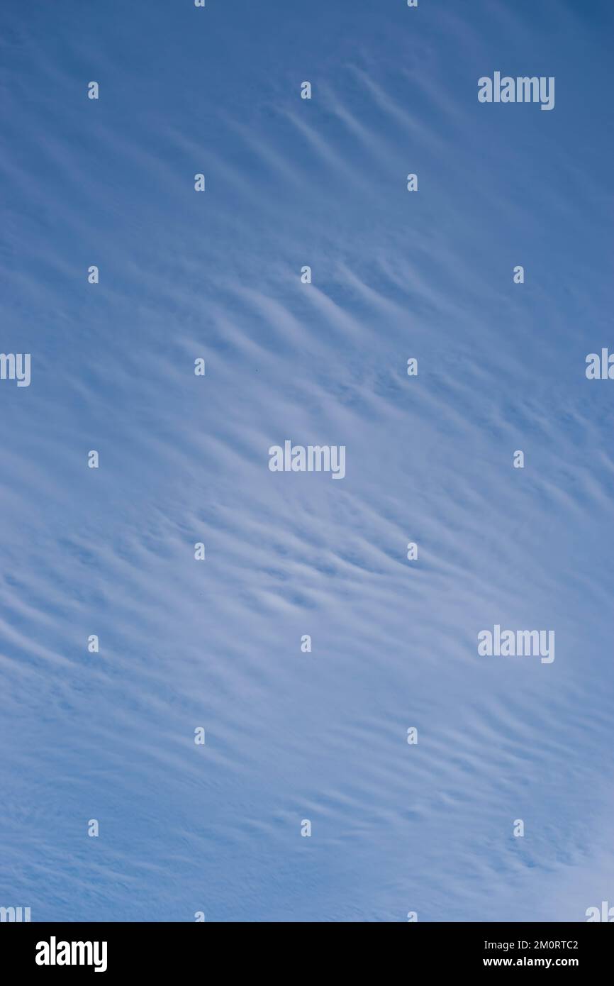 Cirrocumulus Drawing