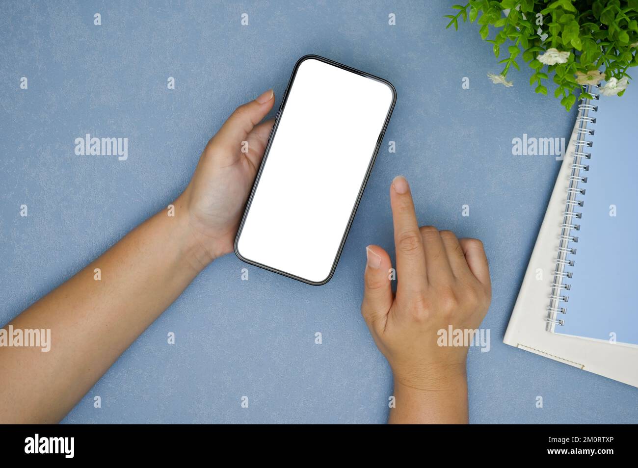 A female using her smartphone over stylish blue workspace in the ...