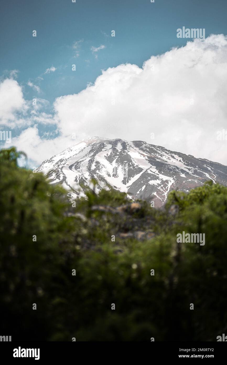 A beautiful shot of a mountain covered with snow behind the forest ...