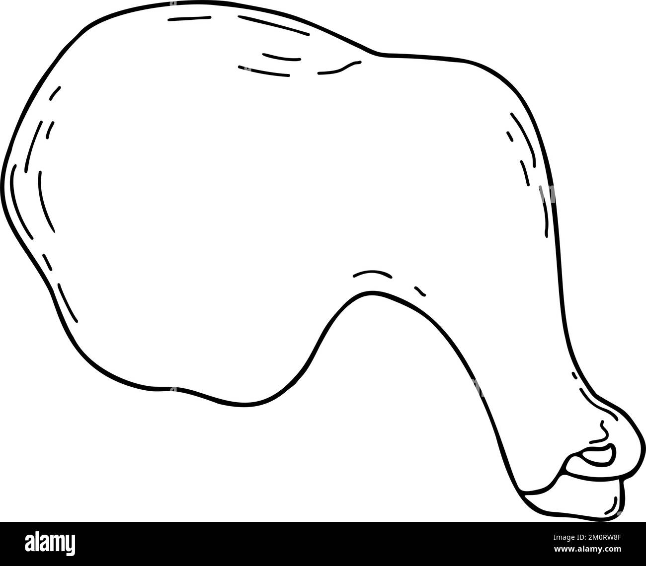 Chicken leg. Meat ham of poultry. Vector linear hand drawing doodle ...