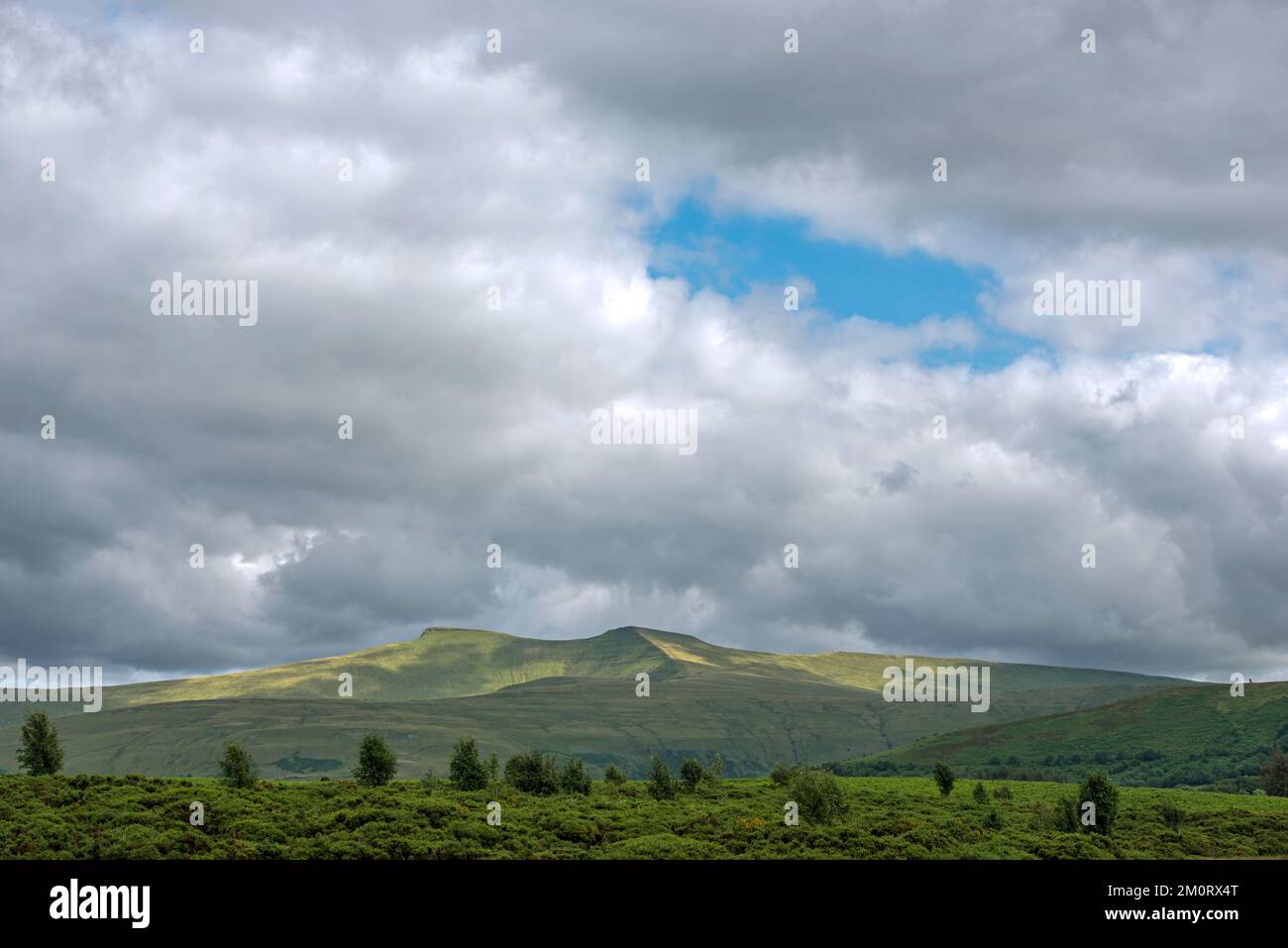 Sunlight on corn du hi-res stock photography and images - Alamy