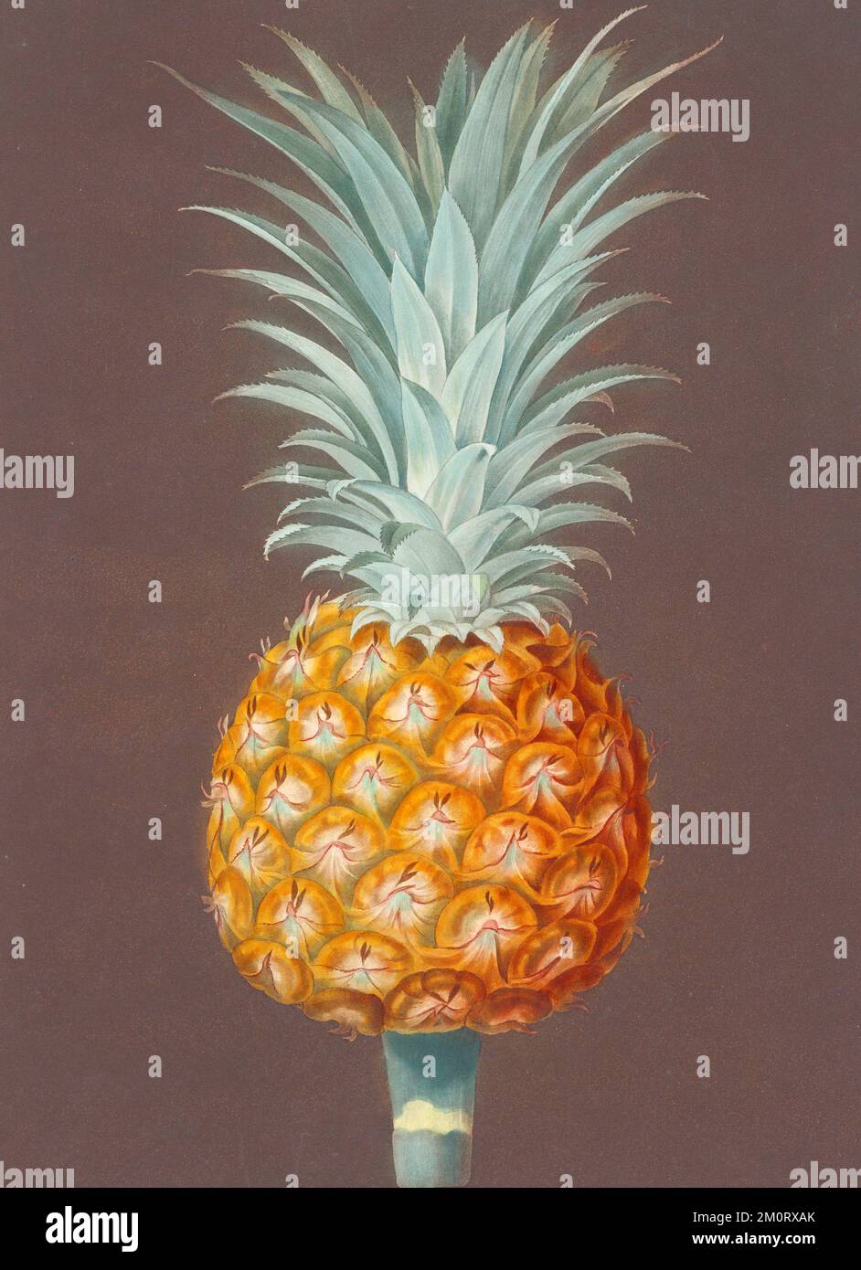 George brookshaw art hi-res stock photography and images - Alamy