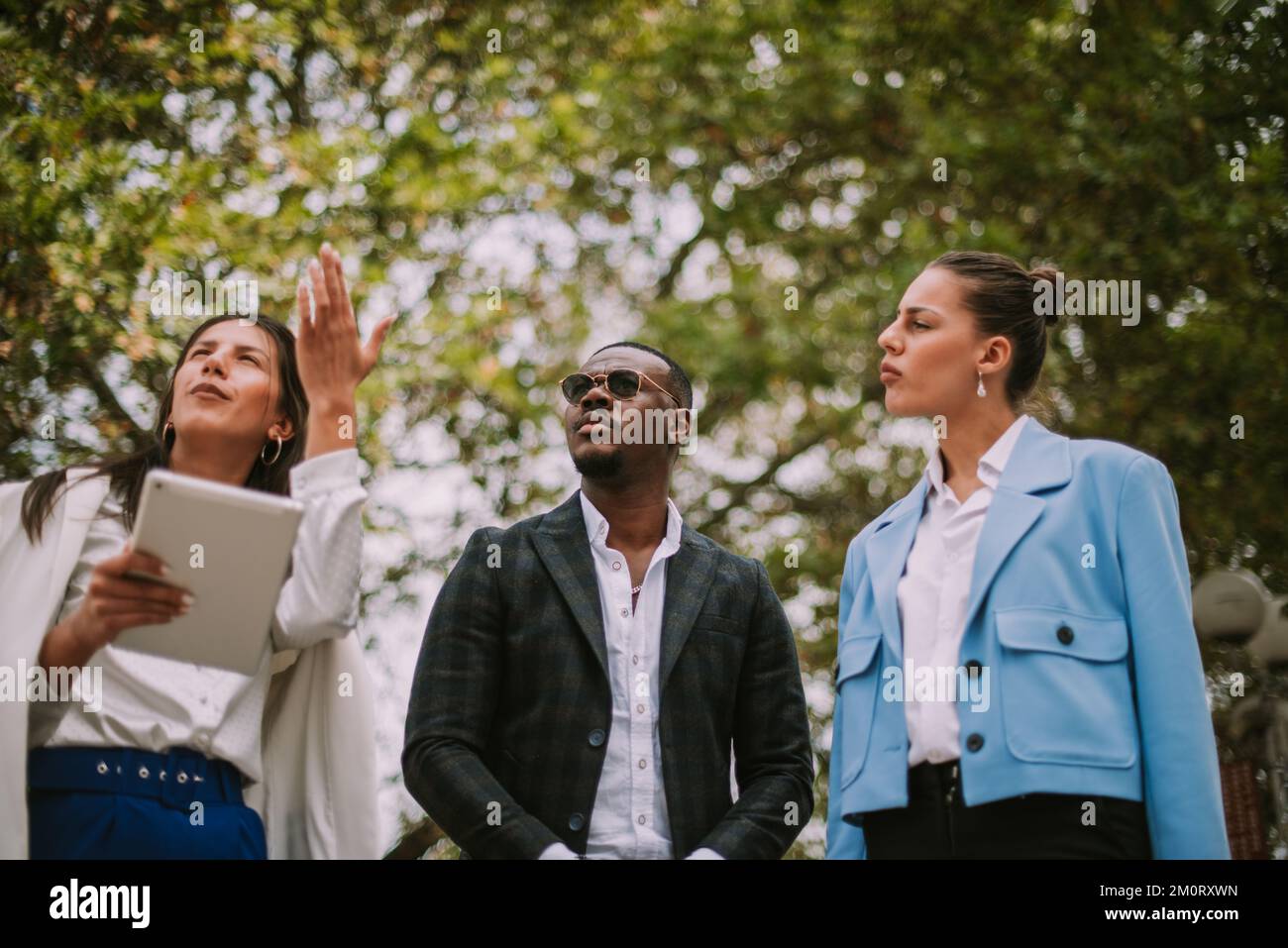 Beautiful business woman showing something to her colleagues while ...
