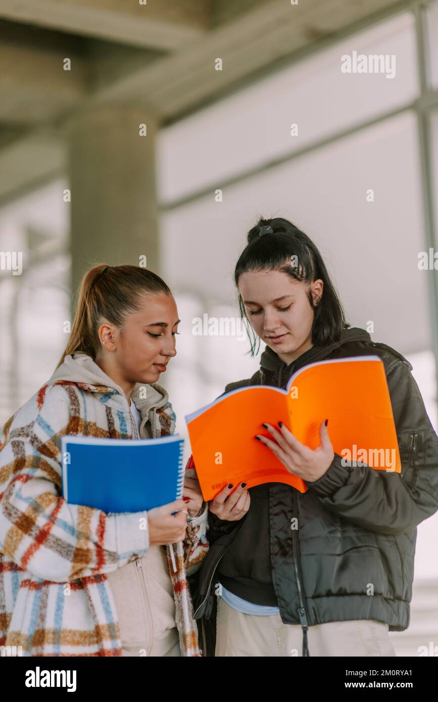 Gorgeous students revising their notebook papers together before exam ...