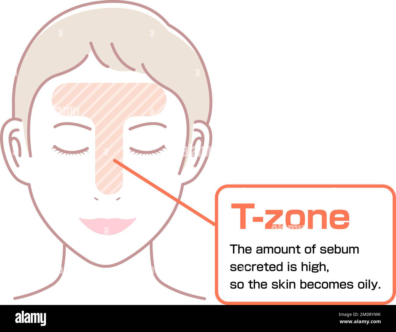 Vector illustration of T-zone of female face Stock Vector Image & Art ...