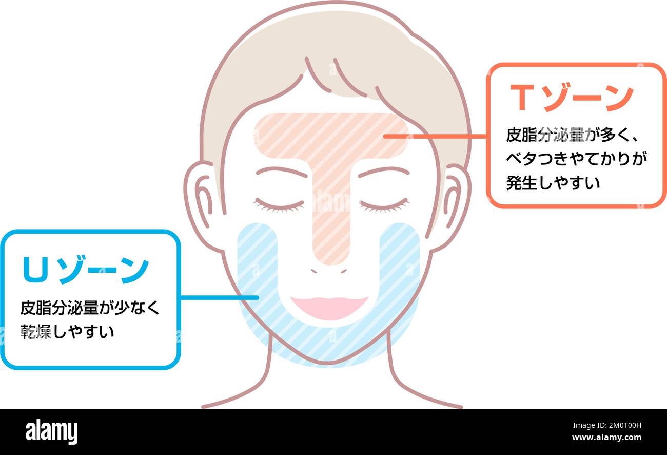 Vector illustration of T-zone and U-zone of female face Stock Vector ...