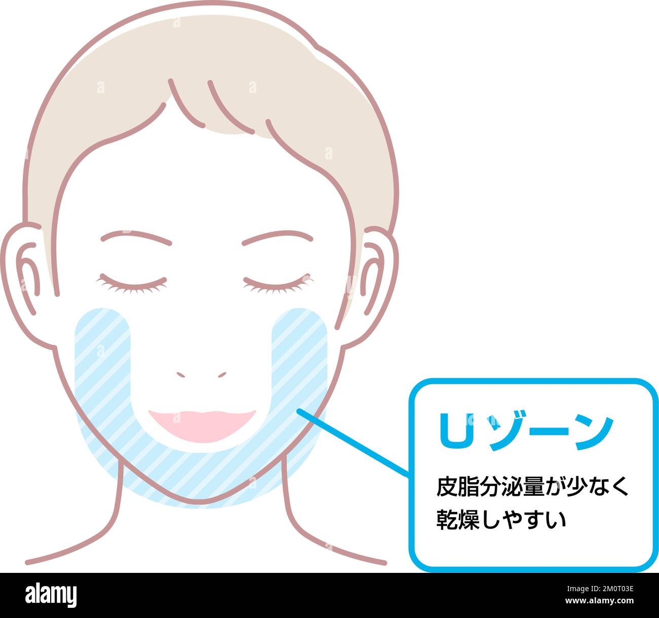 Vector illustration of U-zone of female face Stock Vector Image & Art ...