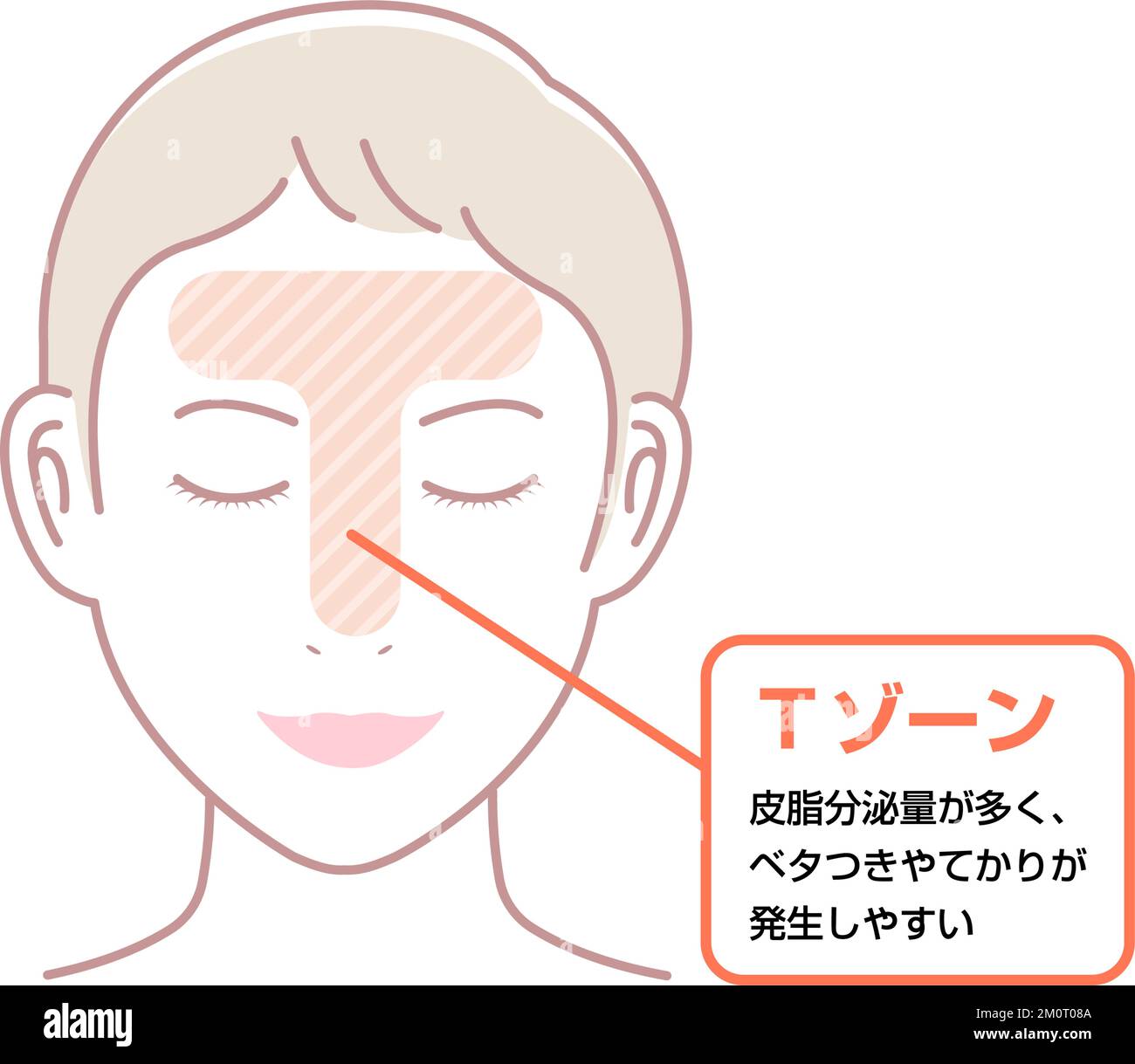 Vector illustration of T-zone of female face Stock Vector Image & Art ...