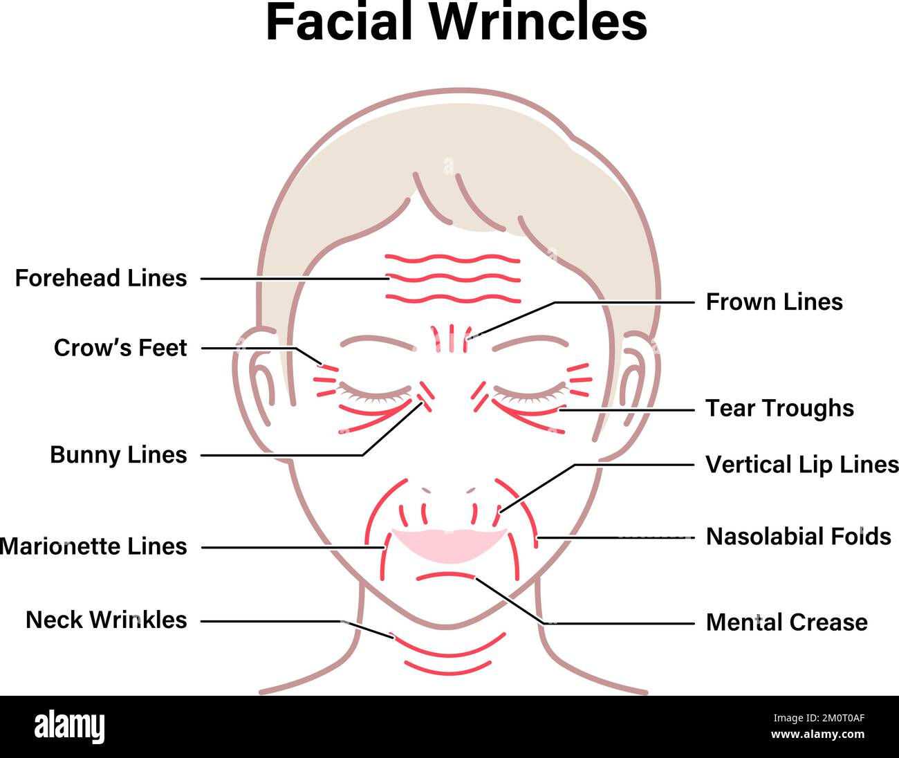 Face skin care Stock Vector Images - Alamy