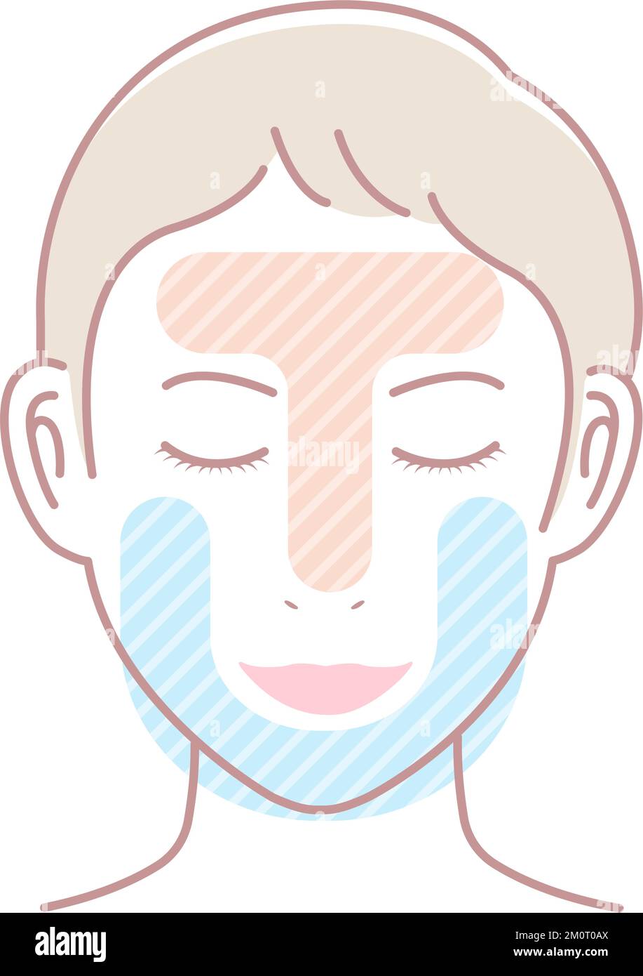 Vector illustration of T-zone and U-zone of female face / no text Stock Vector Image & Art - Alamy