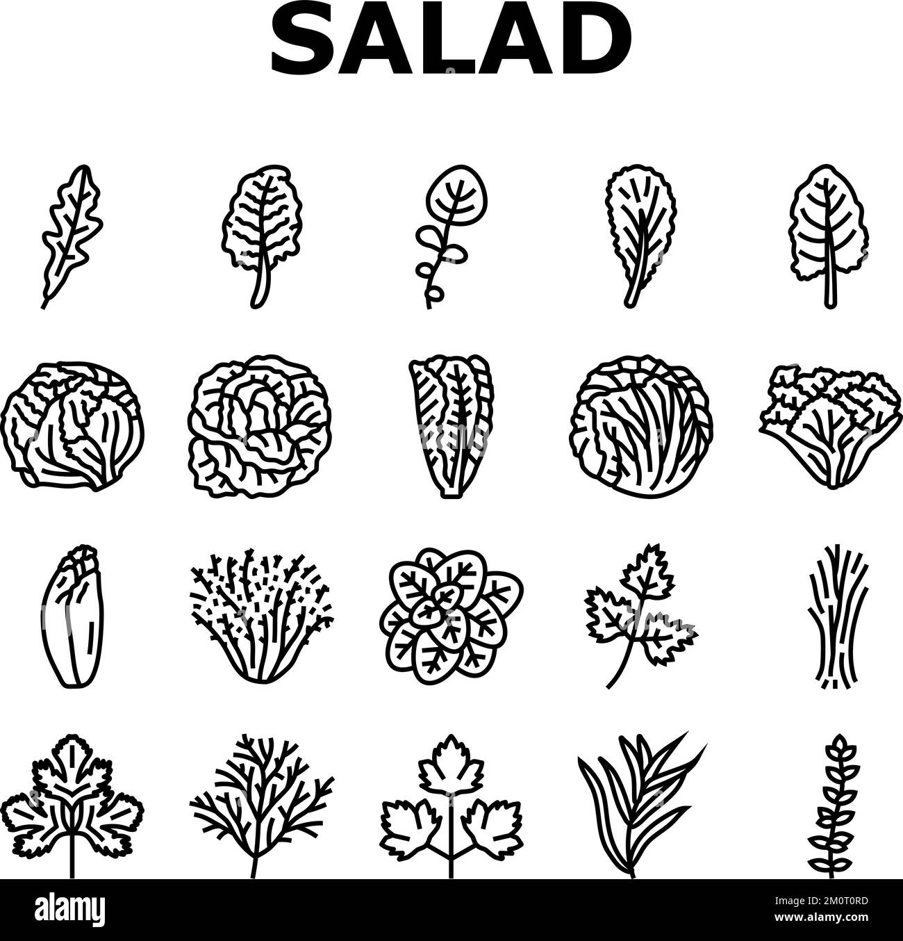 salad food healthy green fresh icons set vector Stock Vector Image ...