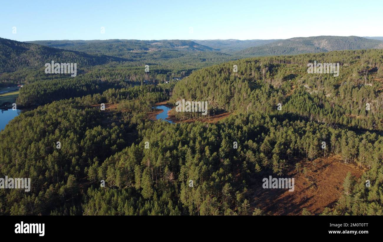 An aerial view of a forested hillside on a sunny day Stock Photo - Alamy